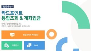 '카드포인트 통합조회 계좌입금' 기업계 카드사 까다롭네